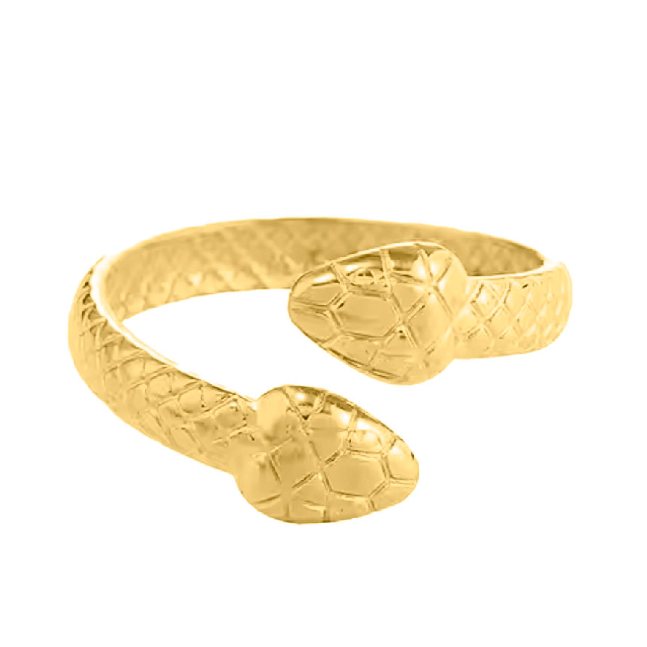 anillo snake